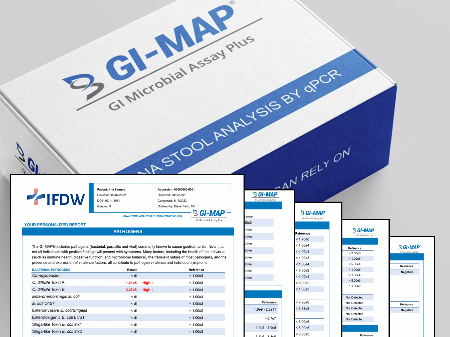Gut Health Tests: Understanding Your Digestive System | IFDW